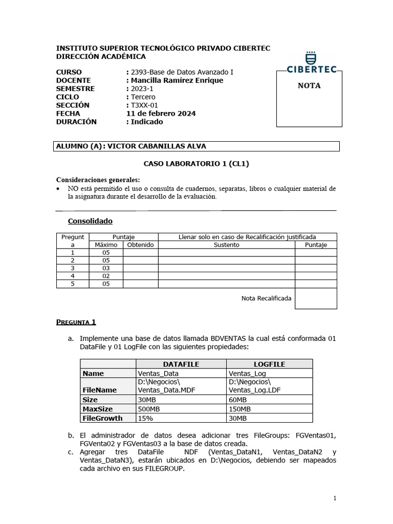 2393 - Base de Datos Avanzado1 - T3XX - 01 - CL1 - 2024-1 - VICTOR ...