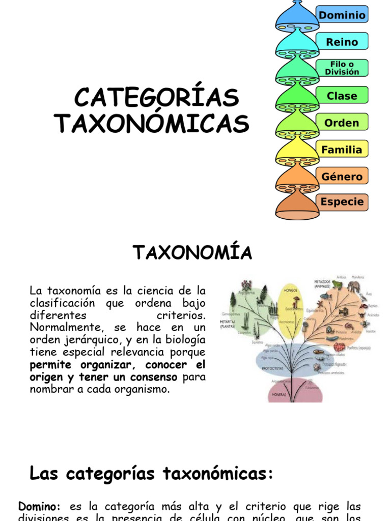 Categorías Taxonómicas en Biología | PDF