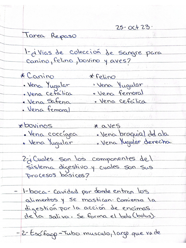 Tarea de repaso 1 | PDF