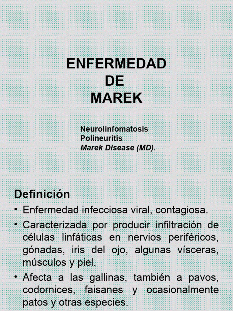 Enfermedad DE Marek: Neurolinfomatosis Polineuritis | PDF | Virus | Bazo