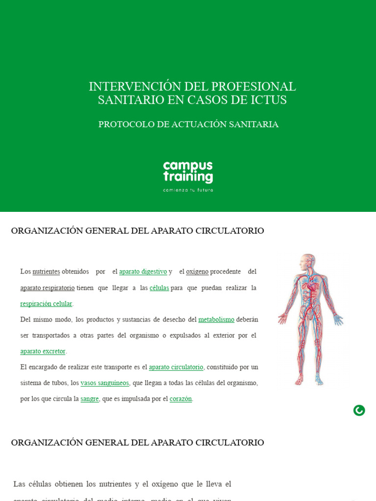 Protocolo Ictus | PDF | Corazón | Carrera