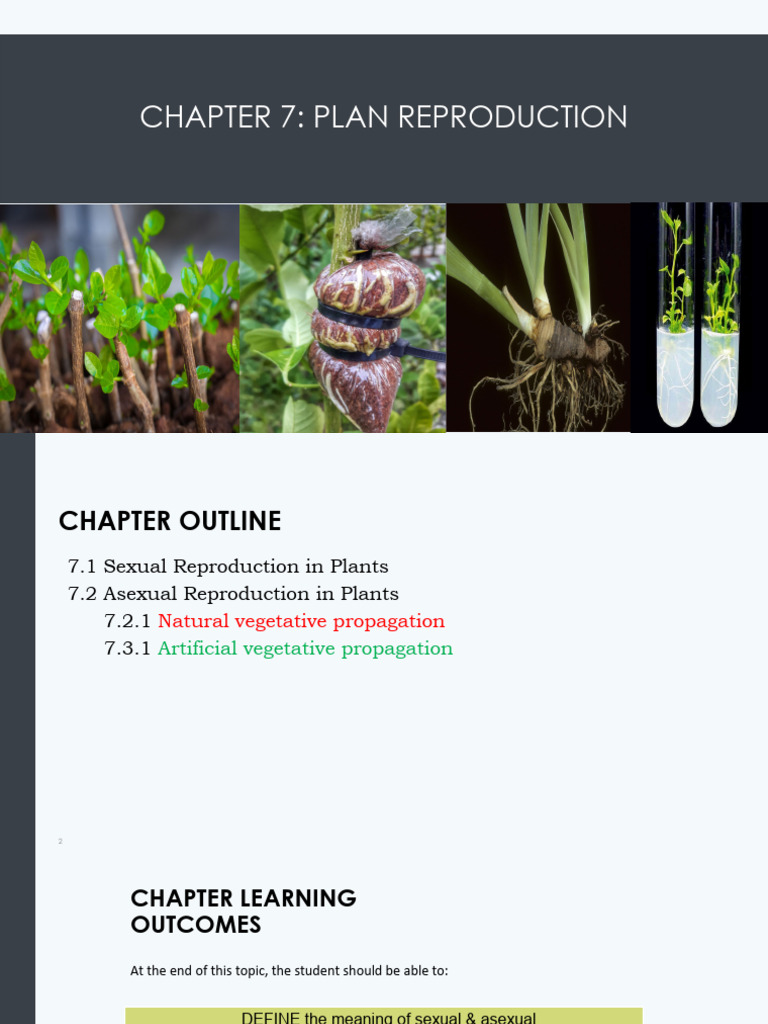 Chapter 7 Plant Reproduction | PDF | Reproduction | Plant Reproduction