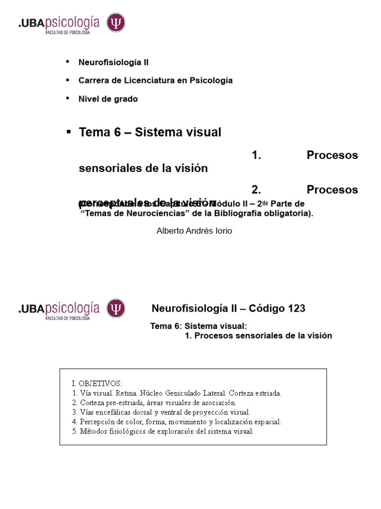 Sistema Visual en Neurofisiología | PDF | Percepción visual | Sistema visual