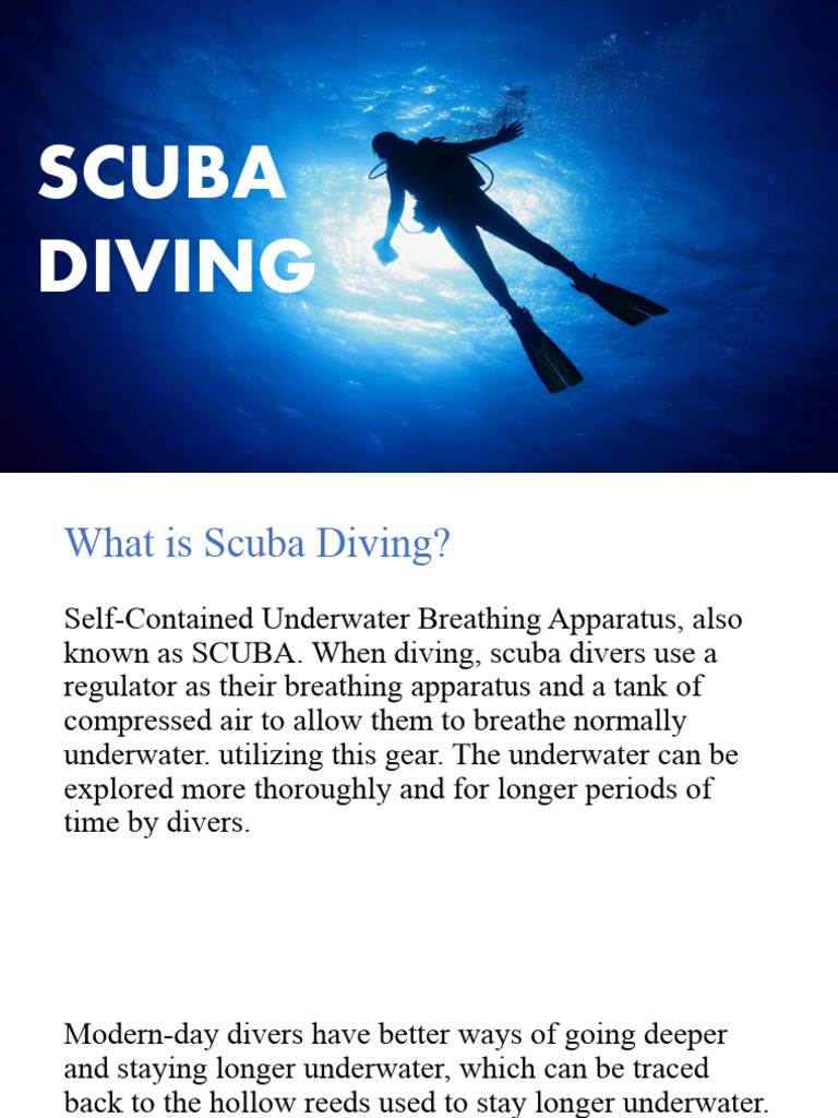 Scuba Diving | PDF