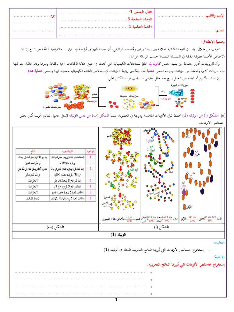 Impr recto verso X 8 copy | PDF