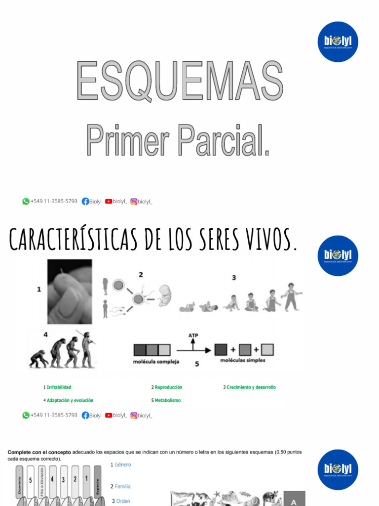 Esquemas - Biología Celular 54 UBA XXI. Actualizados. | PDF