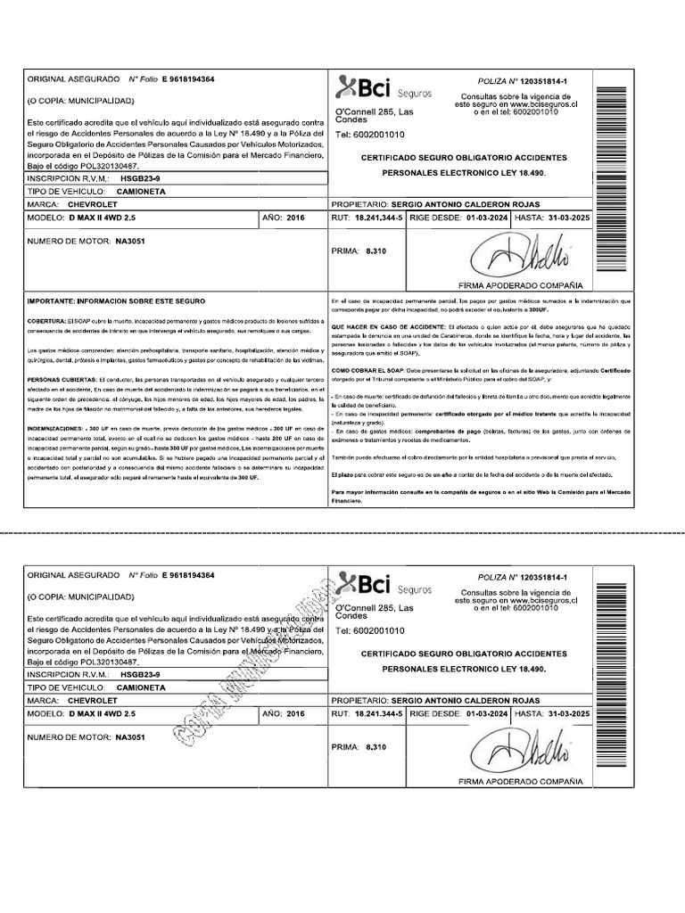 Soap Dmax Nicolis | PDF