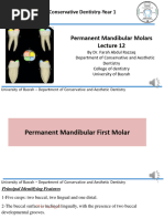 Maxillary 1st Premolar | PDF | Dental Anatomy | Tooth