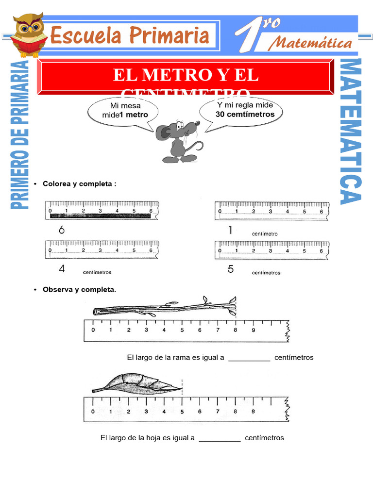 El Metro y El Centimetro para Primero de Primaria | PDF
