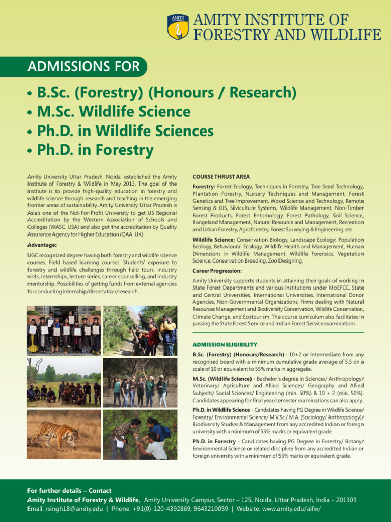 AIFW Leaflet 2024 | PDF | Forestry | Natural Environment