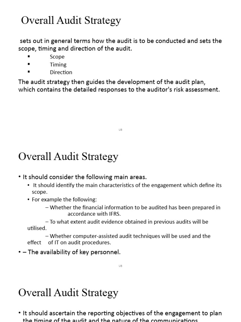 Overall Audit Plan | PDF | Audit | Financial Statement