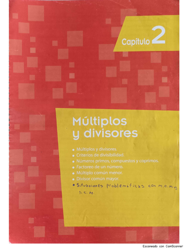 Capitulo 2 Múltiplos y Divisores | PDF
