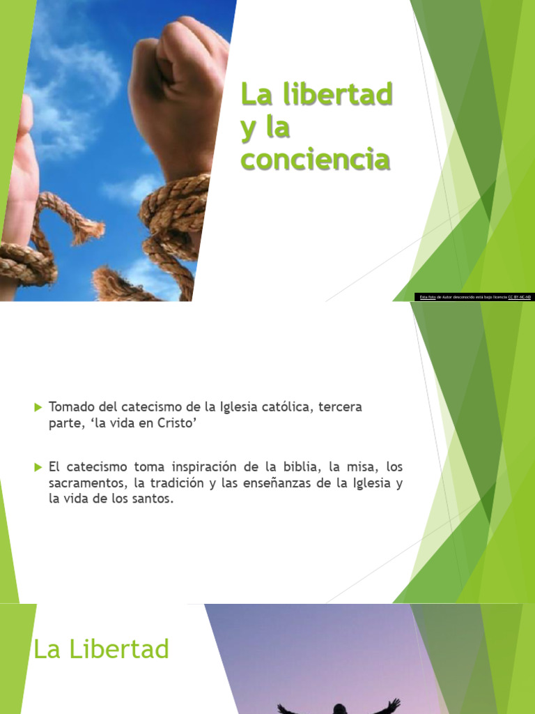 La Libertad y La Conciencia | PDF | Libertad | Pecado
