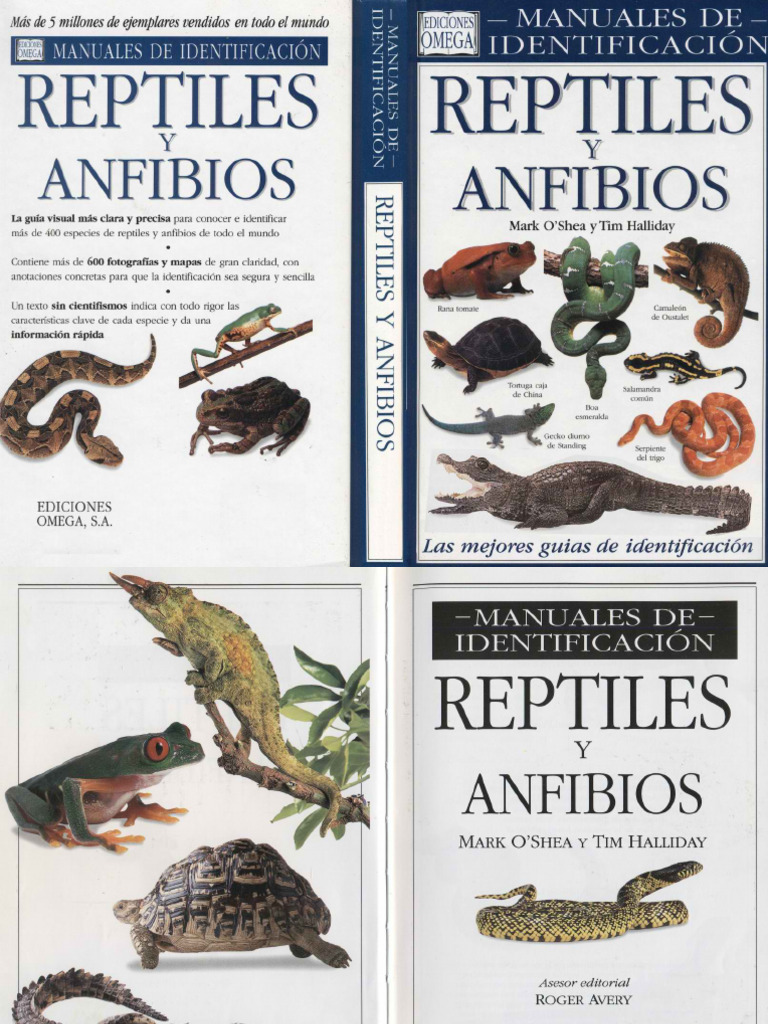 Reptiles y Anfibios Manuales de Identificación Mark O Shea Tim Halliday ...