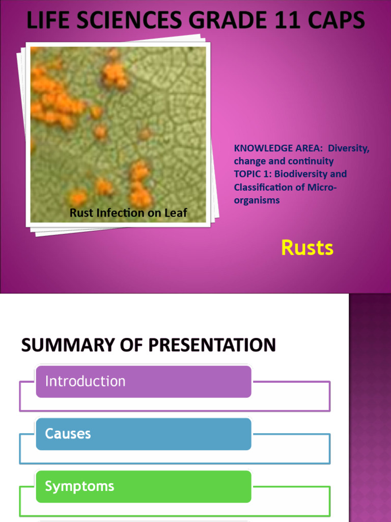 PP6 Rust 1453878219 | PDF | Botany | Fungus