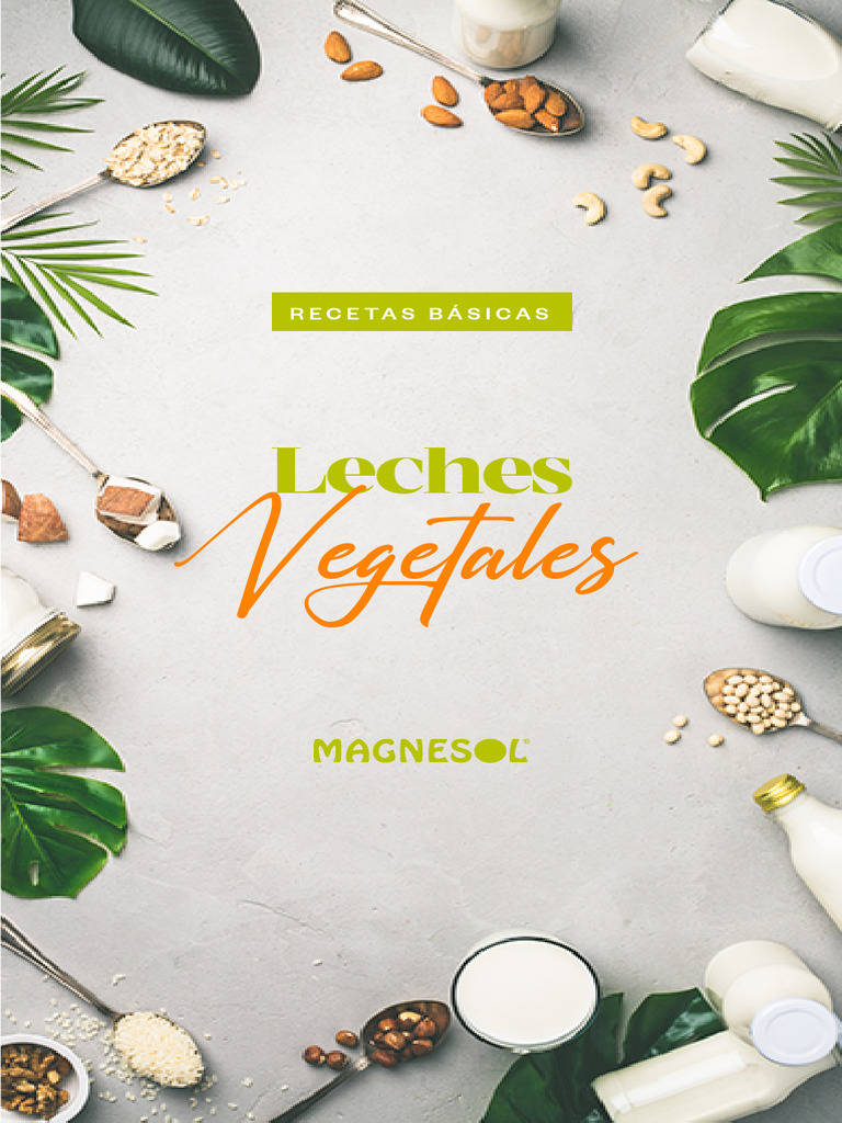 Recetario-De-Leches-Vegetales Ok | PDF | Leche | Alimentos