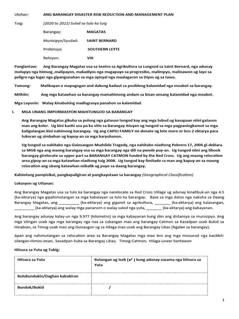 cbdrrm plan 2022-2024 | PDF