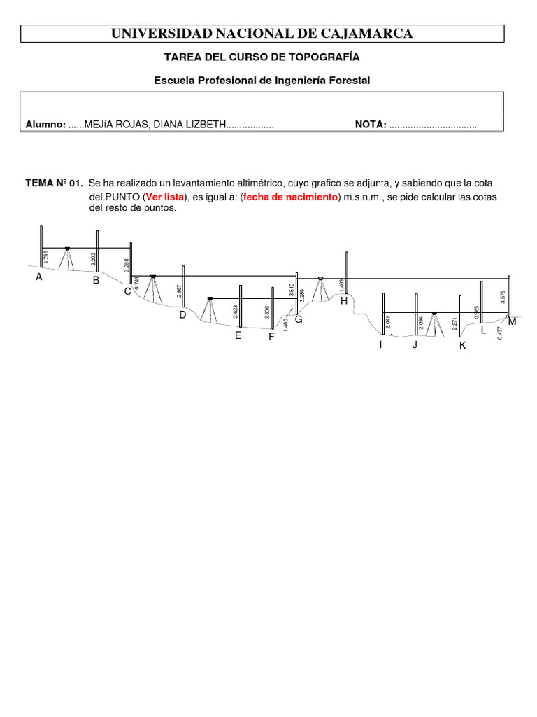 Cálculo de Cotas en Topografía | PDF