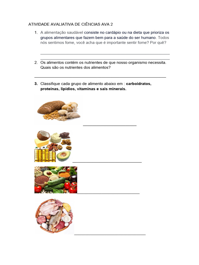 atividade-avaliativa-de-ci-ncias-ava-2-pdf-alimentos-corpo-humano