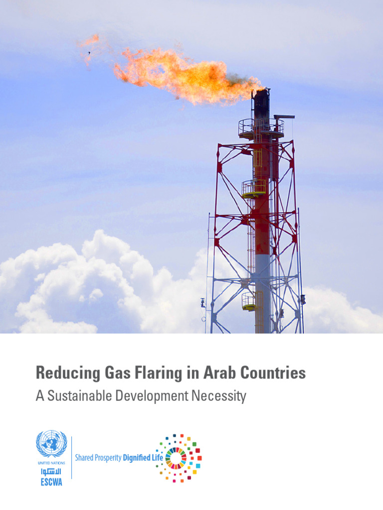 Reducing Gas Flaring in Arab Countries | PDF | Climate Change ...