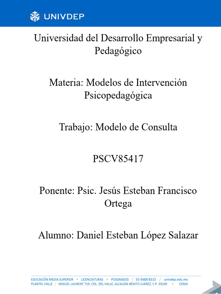 Modelos de Consulta | PDF