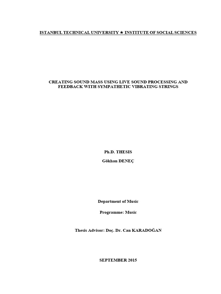 Sympathetic Vibrating Strings | PDF | String Instruments | Piano