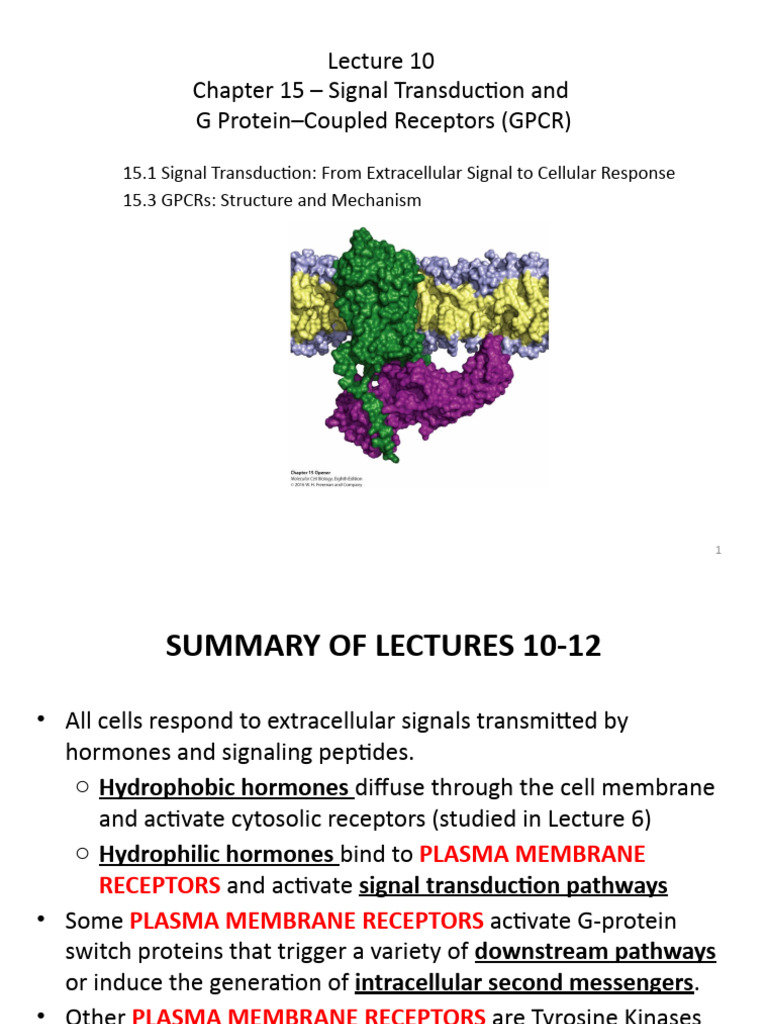 F22 MCB 2050 Lecture 10 - Signal Transduction | PDF | Cell Signaling | Signal Transduction
