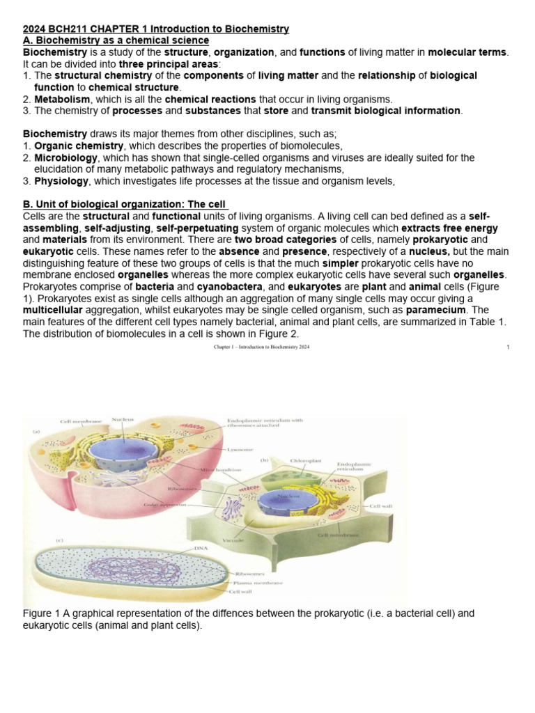 2024 BCH211 Chapter 1 Introduction To Biochemistry | PDF
