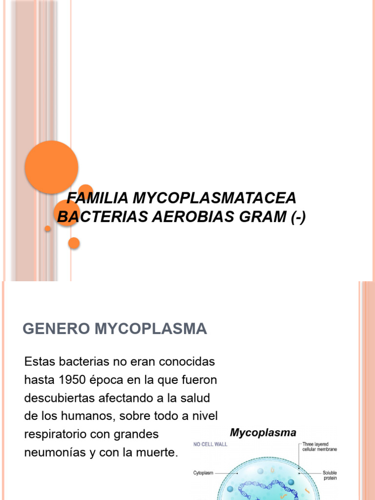 Mycoplasma | PDF | Micoplasma | Las bacterias