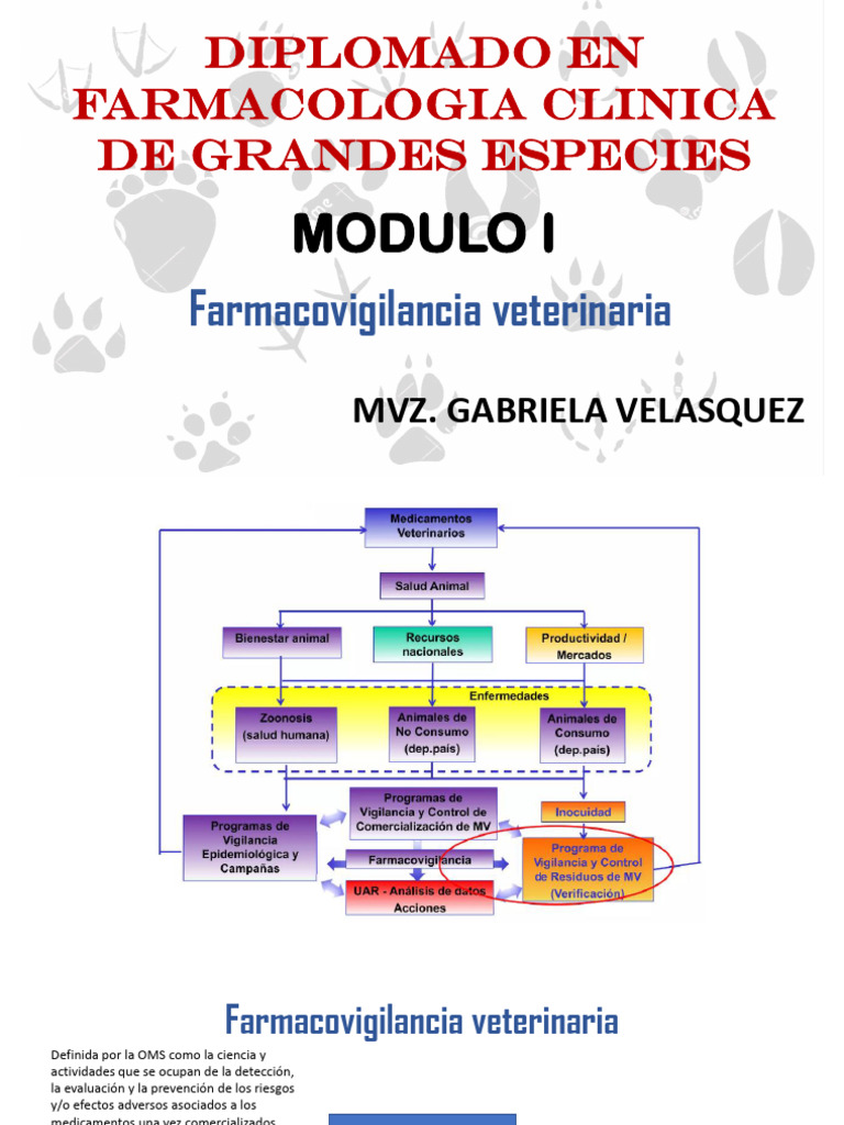 MODULO I clase 2 farmacologia | PDF | Medicamentos con receta ...