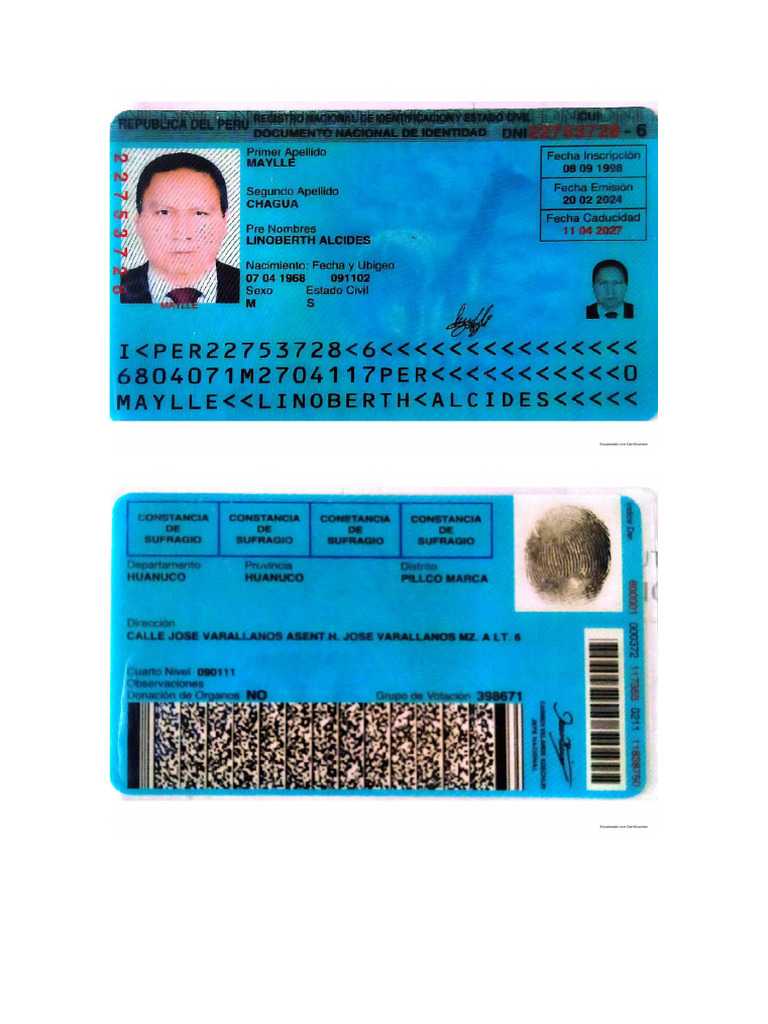 Dni - Linoberth Maylle Chagua | PDF