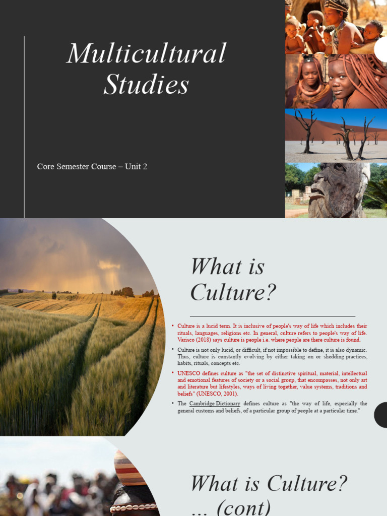 Conceptualization and Terms | PDF | Multiculturalism | Identity (Social ...