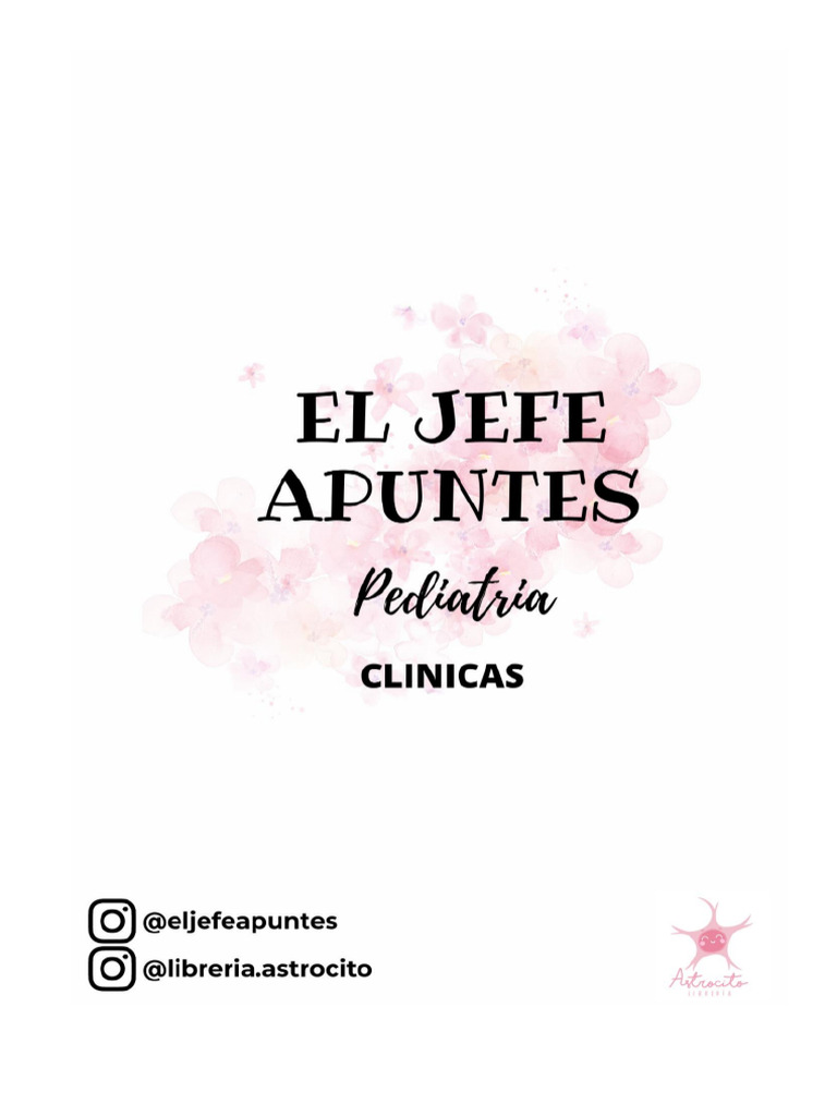 El Jefe | PDF