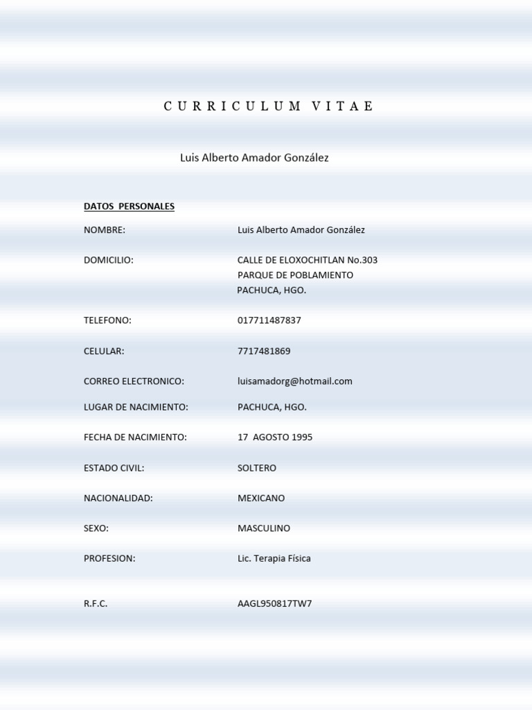 Curriculum Vitae Luis Alberto Amador Gonzalez | PDF