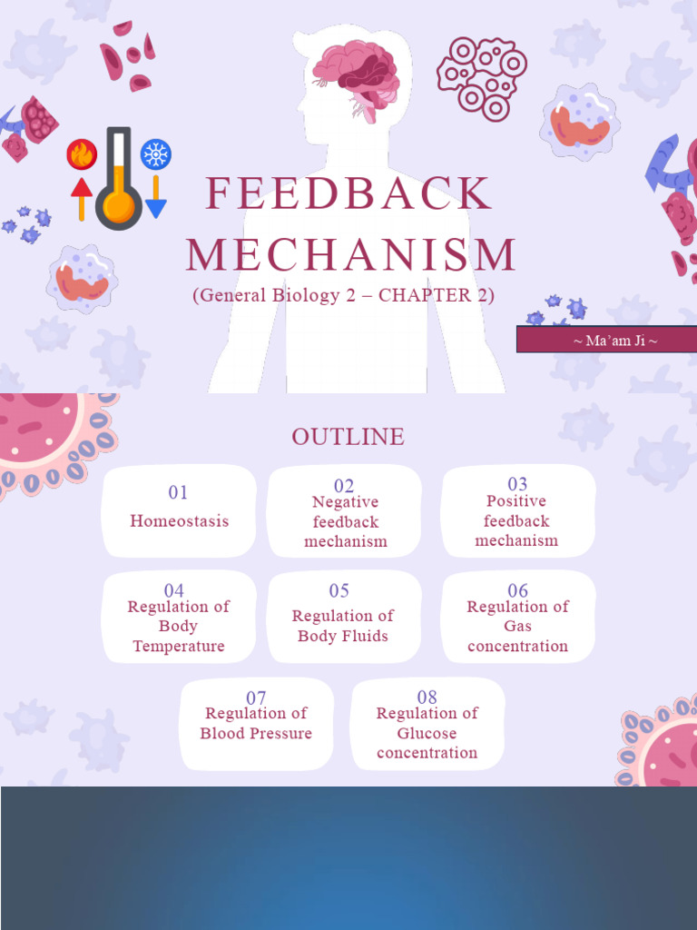Homeostasis and Feedback Mechanisms | PDF | Homeostasis | Blood