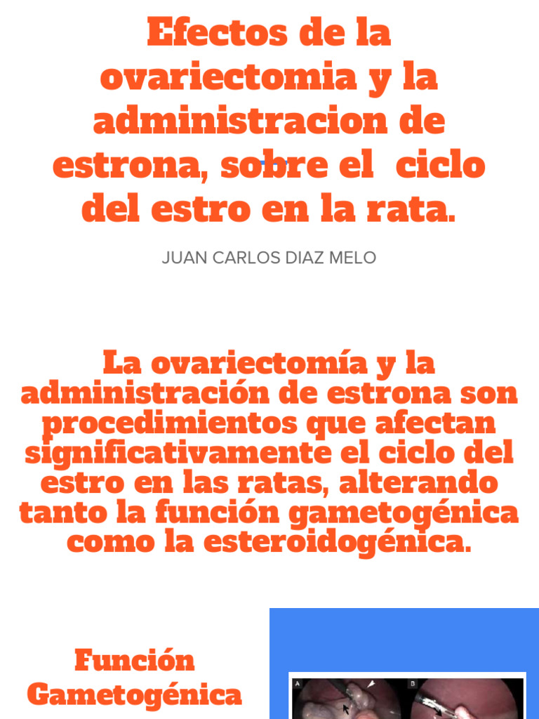 Efectos de La Ovariectomia y La Administracion de Estrona, Sobre El ...