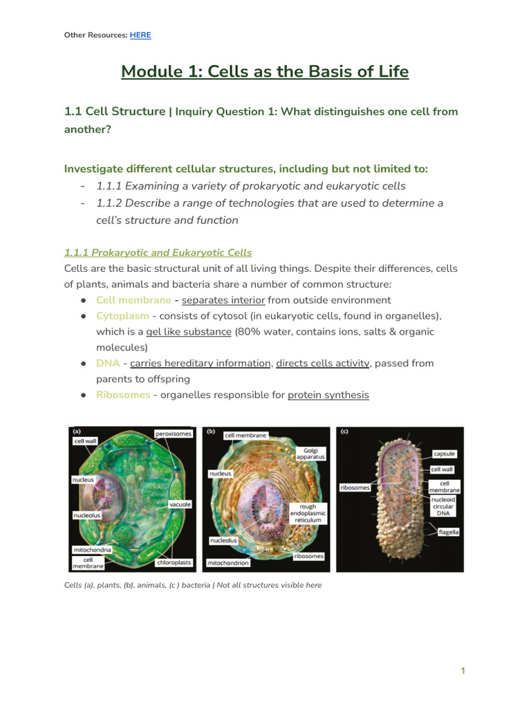 Biology Module 1 - Cell Structure & Function - Study Notes (YR11) | PDF ...