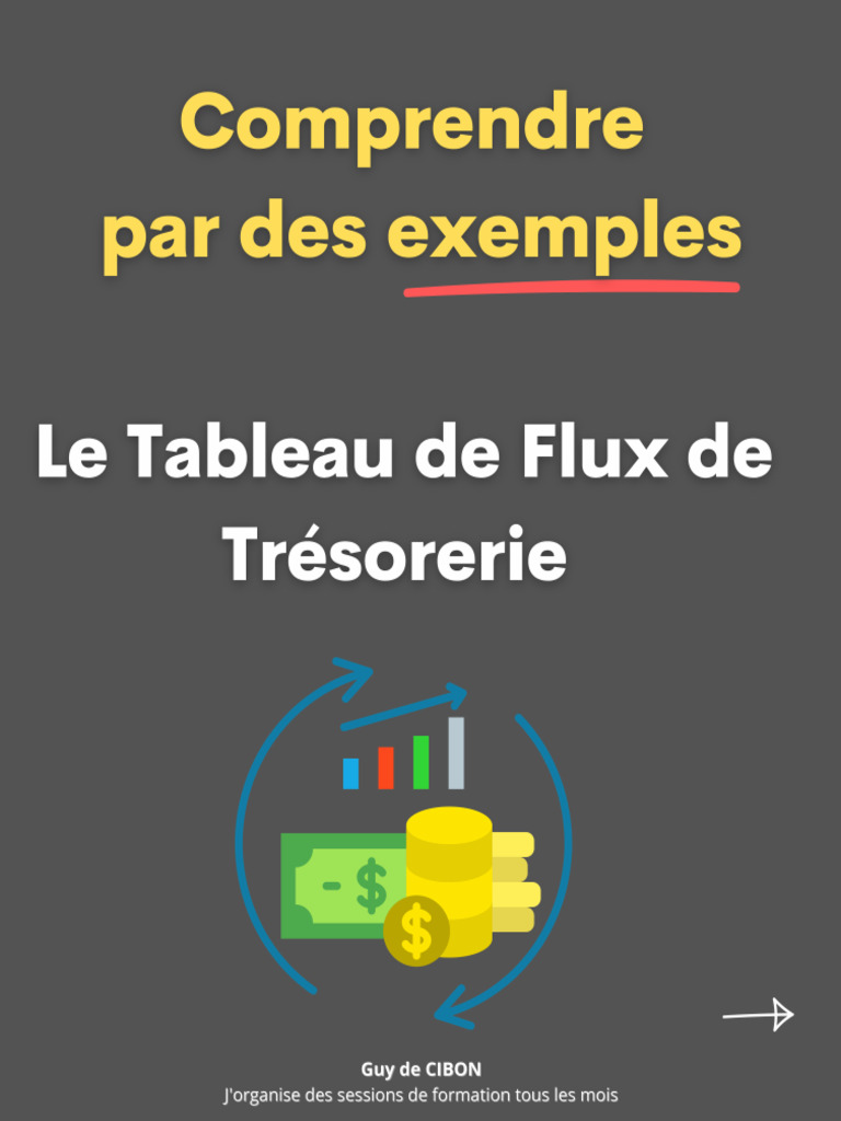 Le Tableau de Flux de Tr Sorerie Par l Exemple 1685044995 | PDF Le Tableau de Flux de Tr Sorerie Par l Exemple 1685044995 | PDF