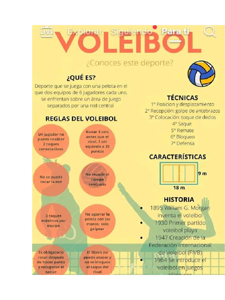 Historia Del Voly | PDF
