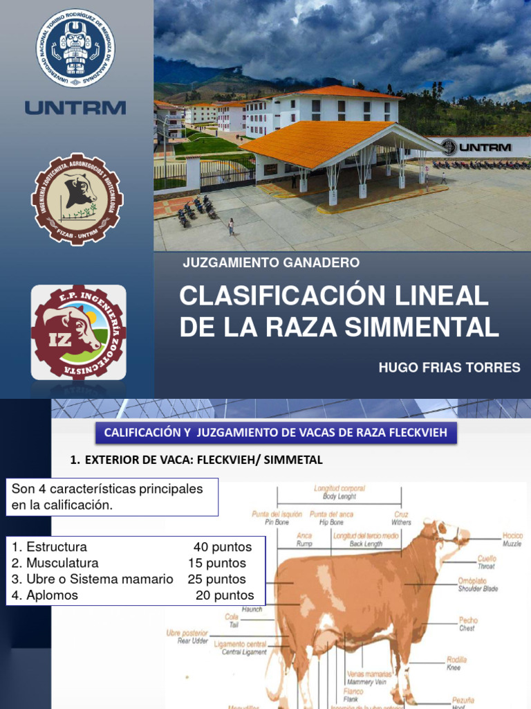 Clase 10 Criterios de Clasificacion Lineal Raza Simmental | PDF