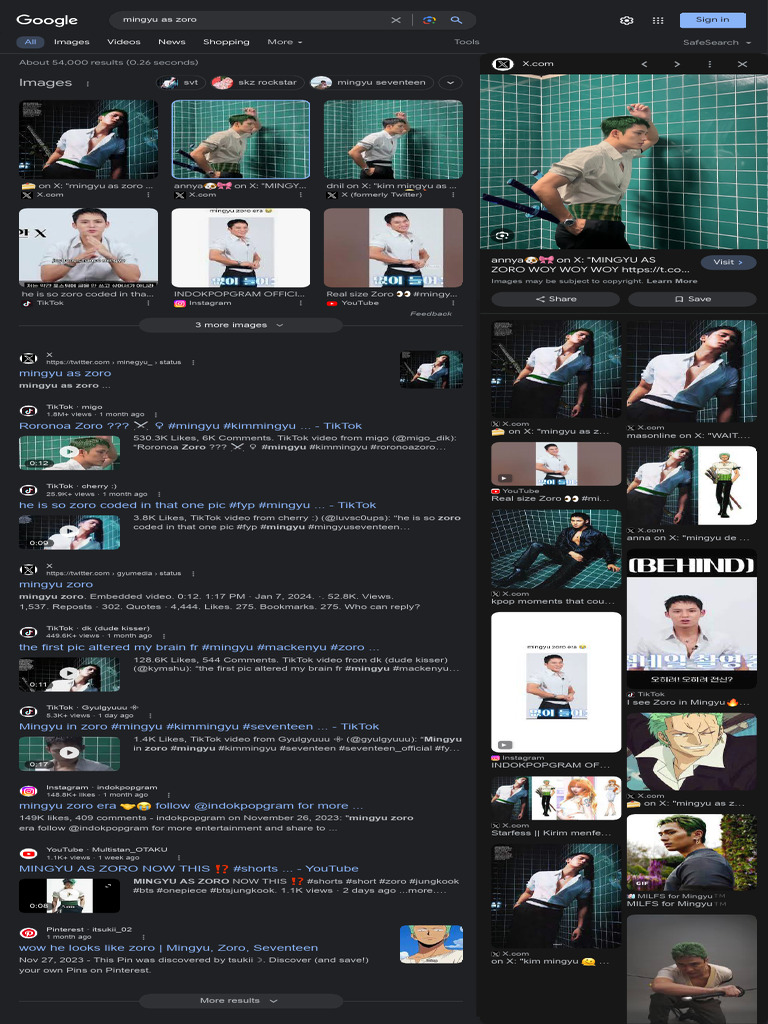 Mingyu As Zoro | PDF