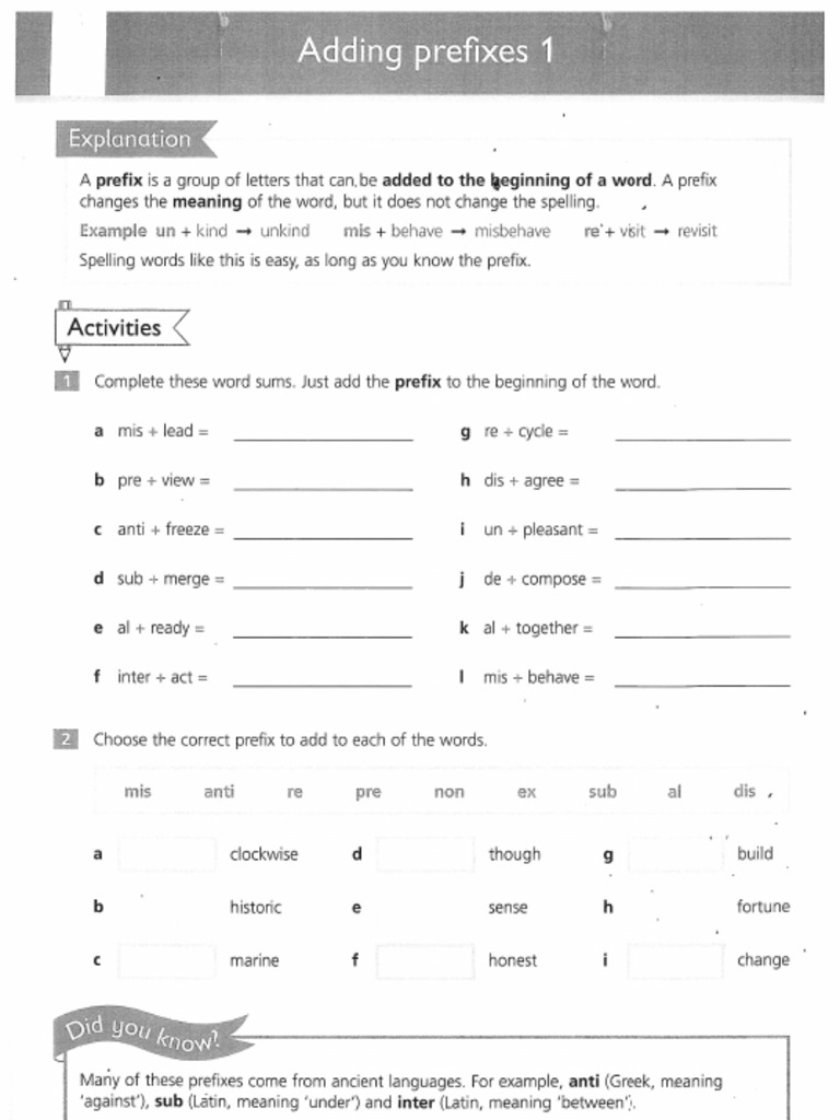 Adding Prefixes | PDF
