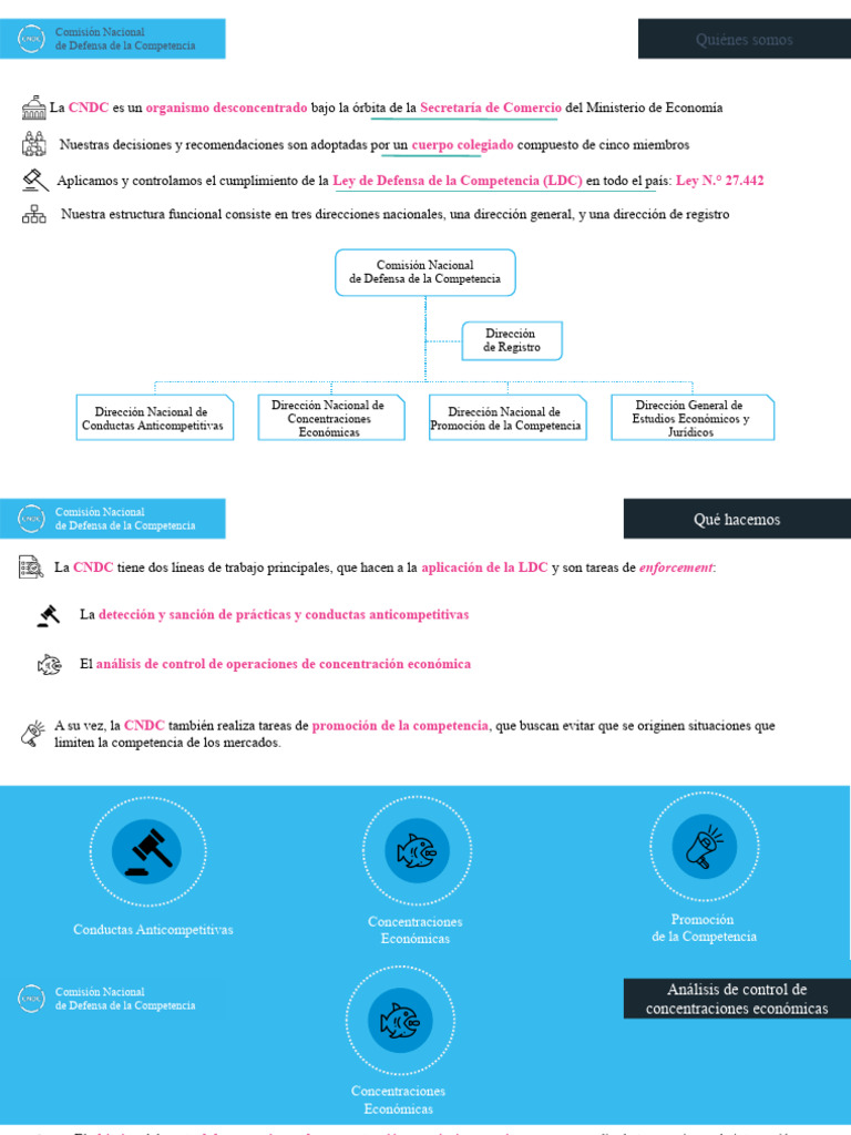 Material de Difusi - N CNDC - CA General | PDF | Mercado (economía) | Business