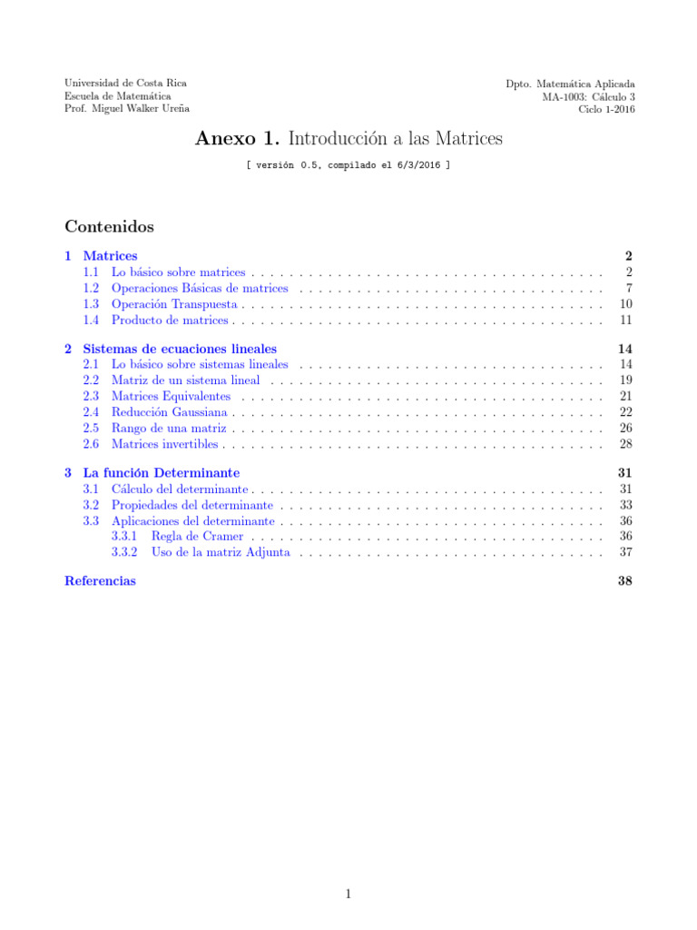 Anexo 1. Introducción A Las Matrices | PDF | Matriz (Matemáticas) | Determinante