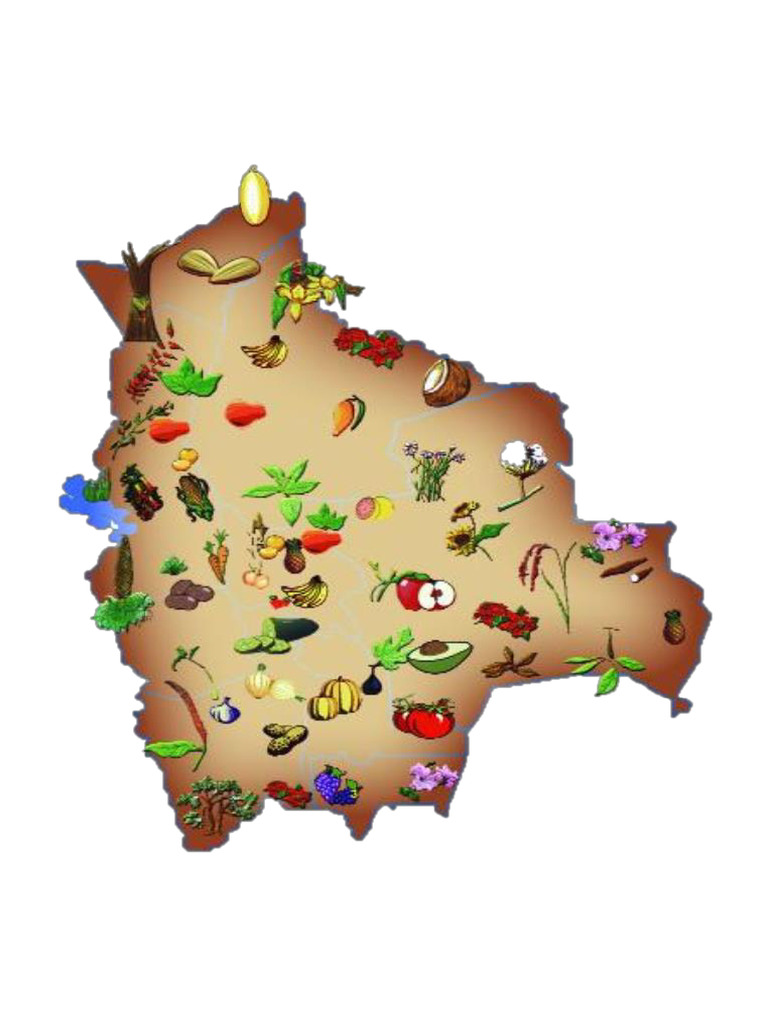 Mapas de Bolivia | PDF