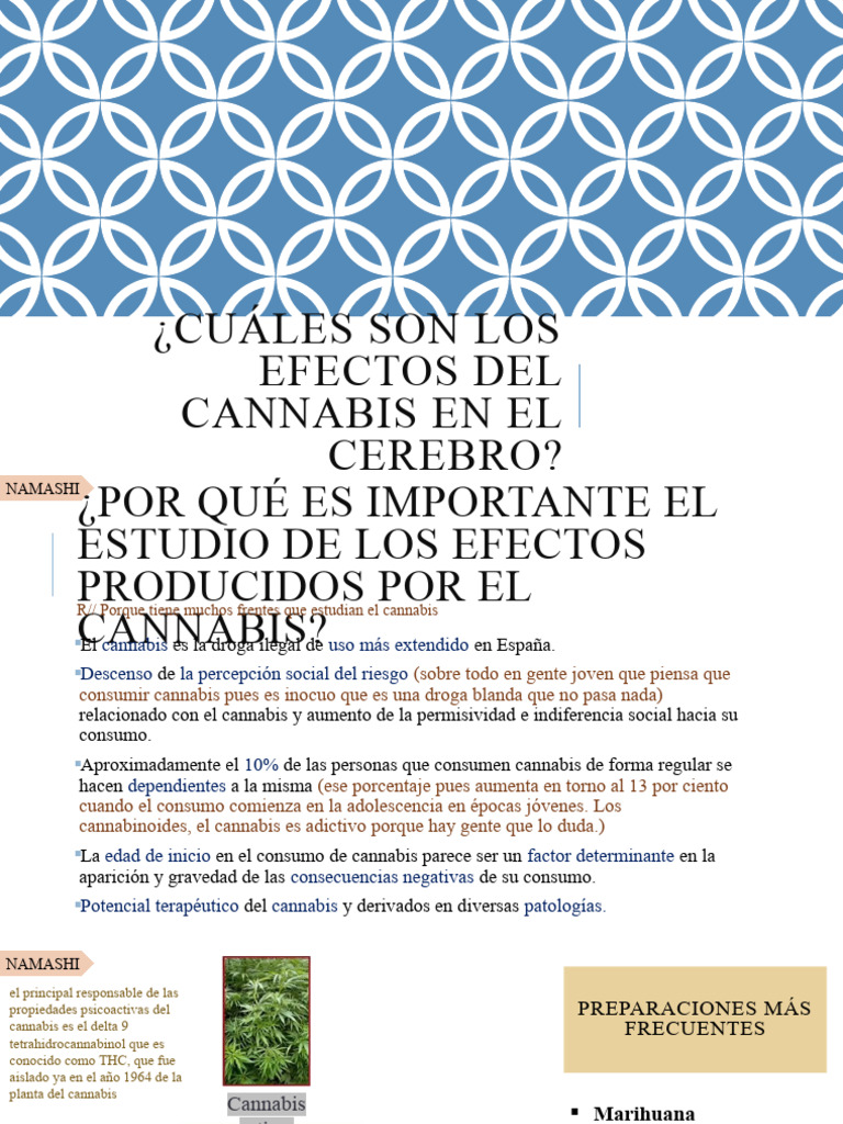 Cuales Son Los Efectos Del Cannabis En El Cerebro Pdf Cannabis