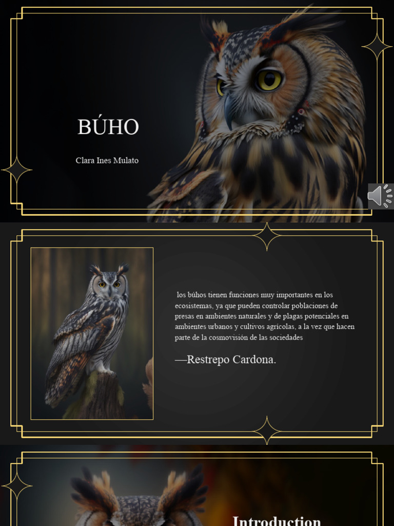 Características y Hábitos del Búho | PDF | Aves | Búho