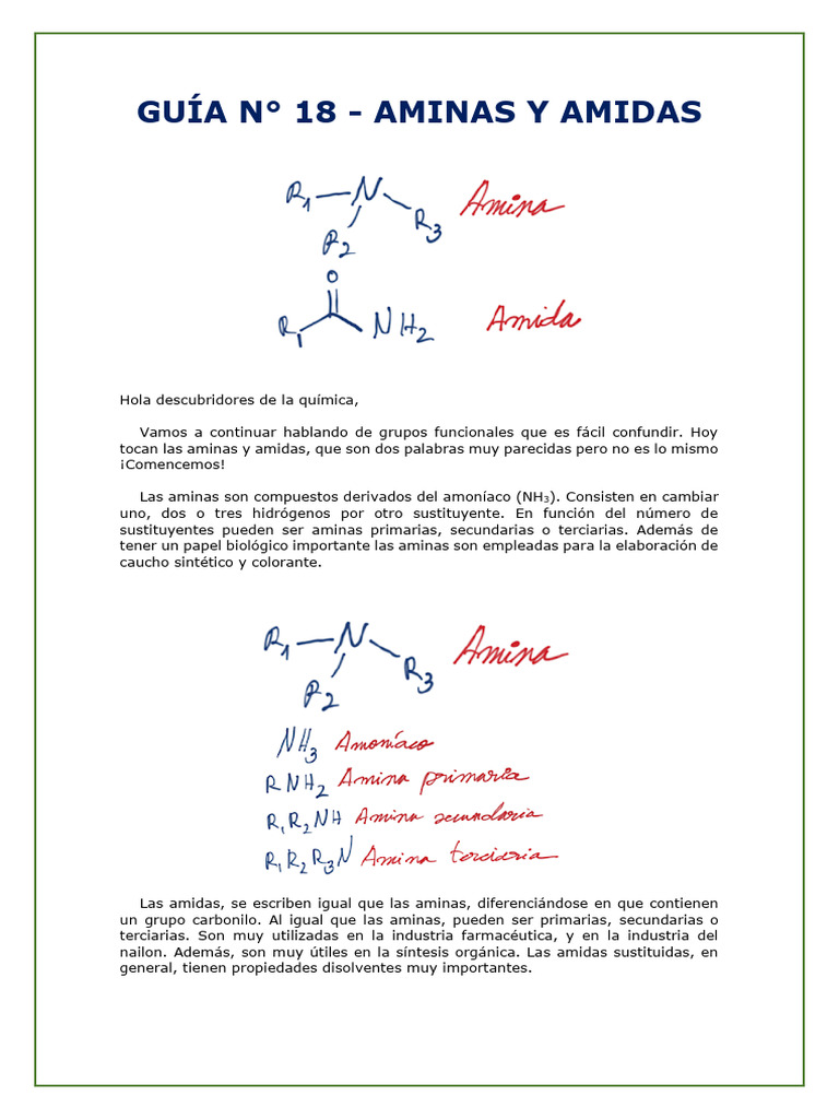 Guía #18 - Aminas y Amidas | PDF