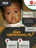 Escala de Capurro | PDF