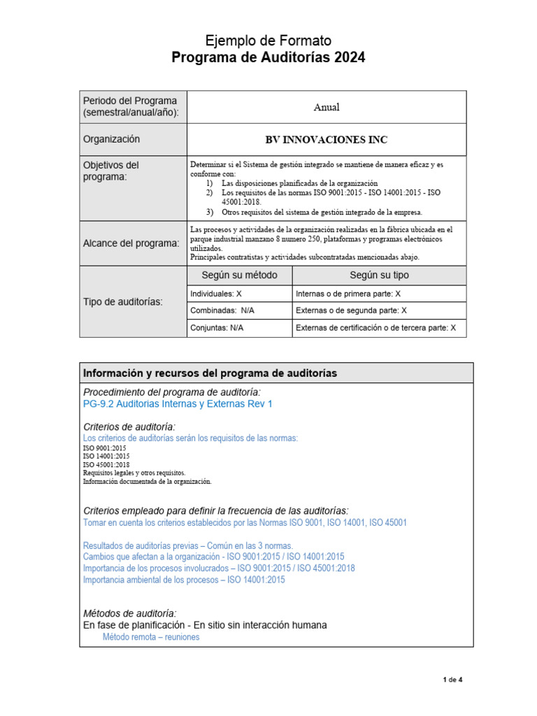 Formato Programa de Auditorias | Descargar gratis PDF | Auditoría | Organización internacional ...